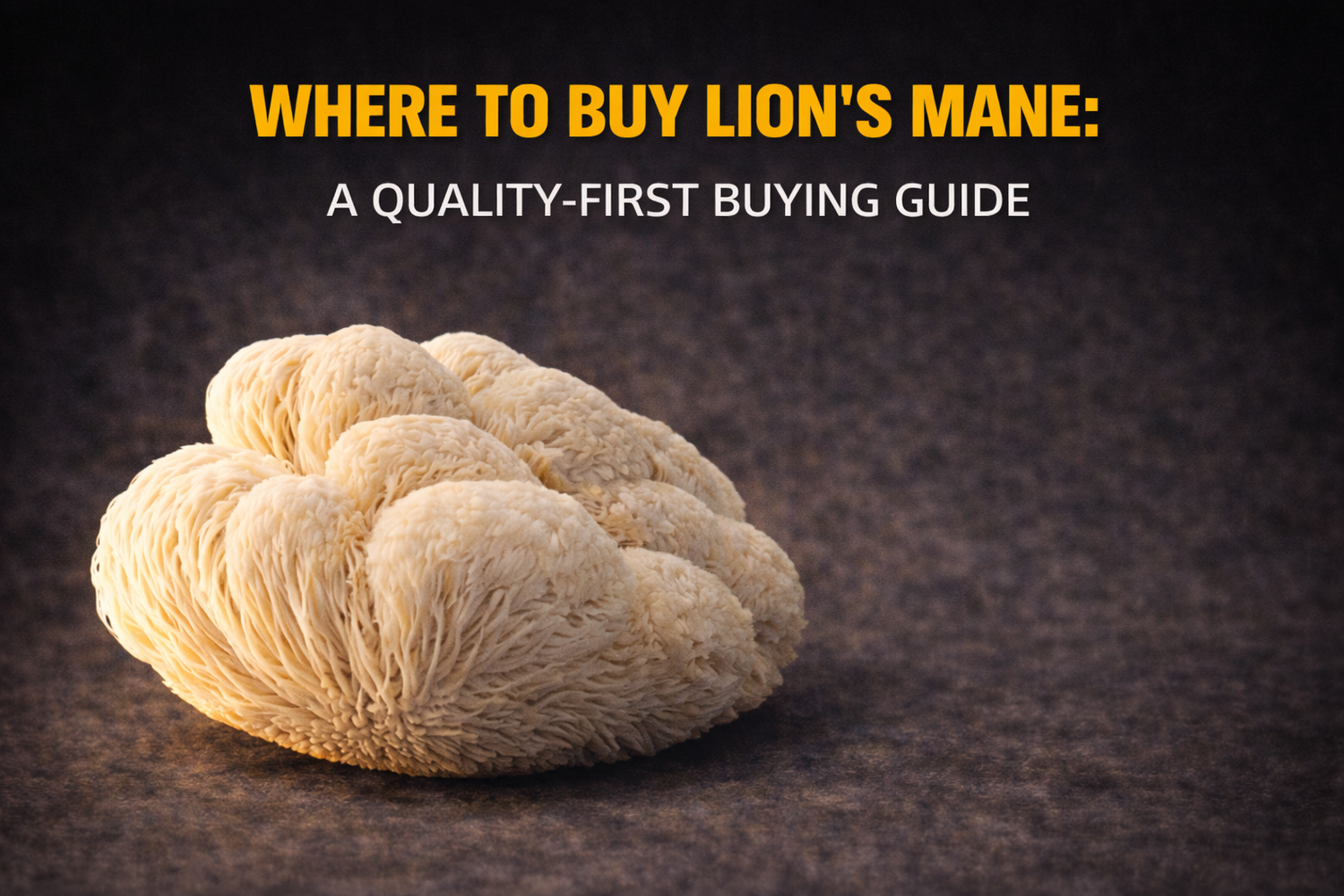 Where to Buy Lion's Mane: A Quality-First Buying Guide – BodyBrain Coffee